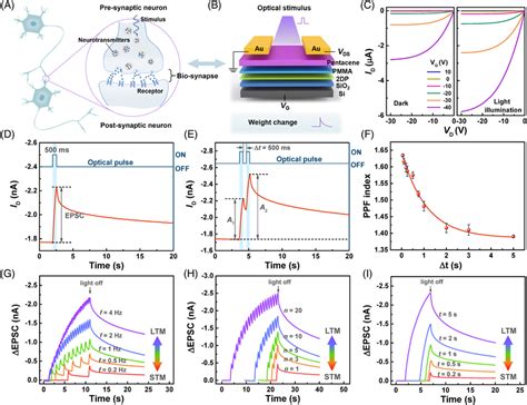 A Schematic Illustration Of The Neural Signal Transmission Of Download Scientific Diagram