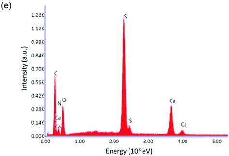 Sem Micrographs Of A B Na 2 Hs And C D Cahs With E Edx Spectrum