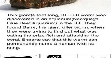 More Nope Nope Nope Imgur