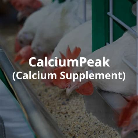 Calciumpeak Packaging Type Pp Packaging Size 25kg At Best Price In