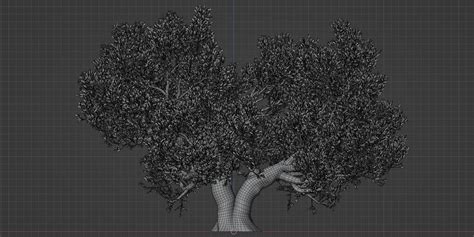 50 Tree Models Collection Blender Superhive Formerly Blender Market