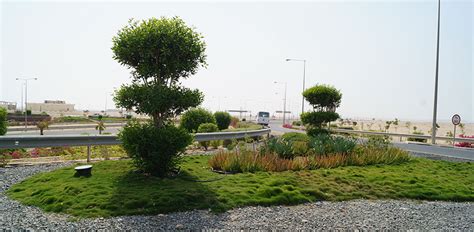 Qp Dukhan Operations Ag Middle East