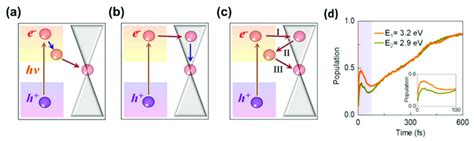 Schematic Representation Of The Photoinduced Hot Carriers Dynamics At