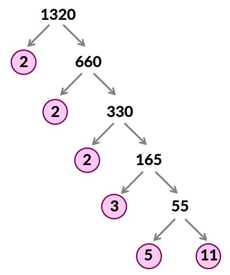 Prime Factorization Patterns