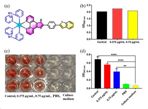 The Effect Of Ruii 3 A On The Hemolysin Toxin Secretion Of S
