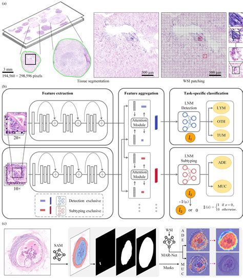 Publications Xu Lab