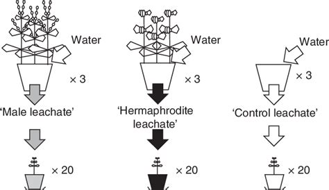 Schematic Diagram Representing One Of The Blocks Existing In The Download Scientific Diagram