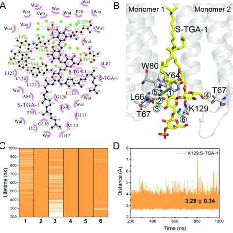 Schematic Representation Of S Tga 1 Binding To The Br Trimer A The