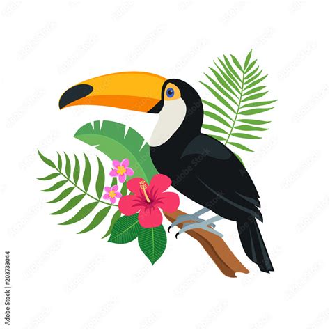 Cute Toucan Clipart