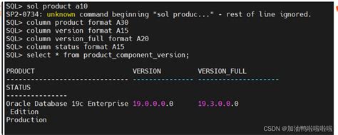 Oracle 19c打补丁到1914oracle打补丁时检测操作系统版本 Csdn博客 Oracle 19c打补丁到1914oracle打补丁时检测操作系统版本 Csdn博客