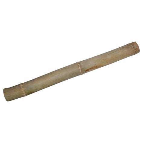 Buy Lucky Reptile Bamboo Stick Online At £959
