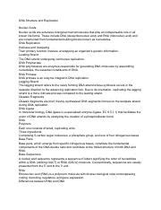 DNA Structure And Replication Key Concepts And Processes Course Hero