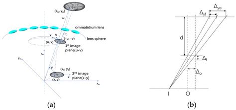 Advanced Biomimetic Multispectral Curved Compound Eye Camera For Aerial Multispectral Imaging In