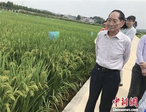 中国专家智库网