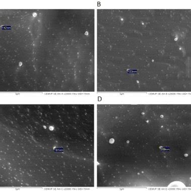 SEM Images Of NLC D A NLC F B NLC A C And NLC B D Download Scientific