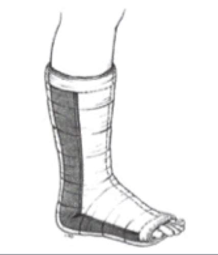 Lab 7 Quiz 6 Copy Flashcards Quizlet