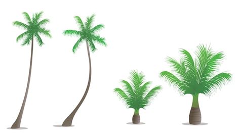 야자수 벡터 일러스트 레이 션의 설정 프리미엄 벡터