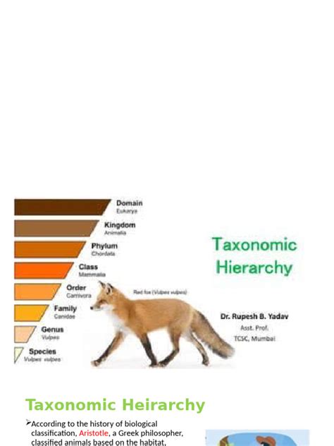 Taxonomic Heirarchy Pdf