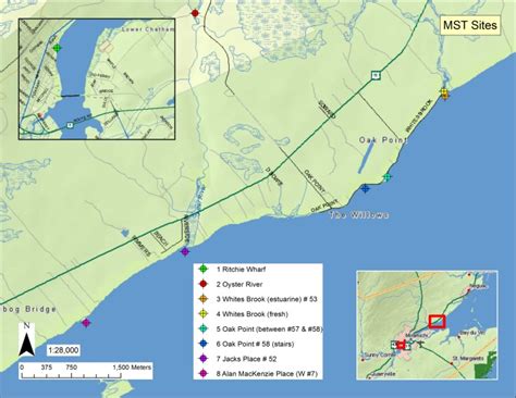 Microbial Source Tracking Mst Miramichi River Environmental