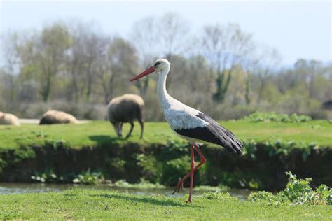 萨姆松 Samsun 土耳其