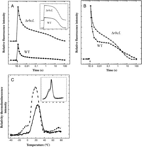 Comparison Of Psii Electron Transport Properties Of The Wt And Drbcl Download Scientific