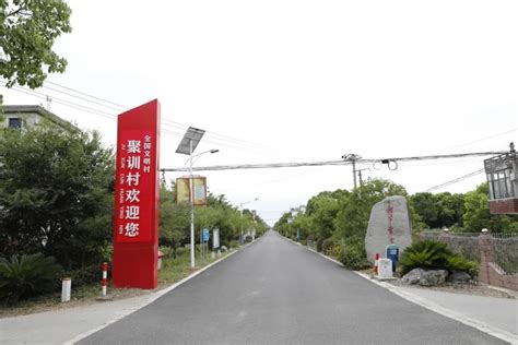 500000根崇明芦穄今夏为何能火出圈