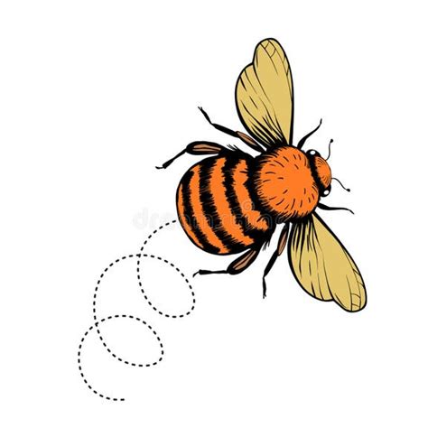 Cartoon Bee Mascot A Small Bees Flies Wasp Collection Vector Characters Incest Icon Stock
