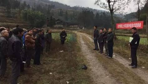 書記陳錢脫貧攻堅戰中的急先鋒 每日頭條