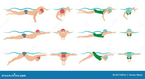 Illustration Of Swimming Drawing Vector Stock Vector Illustration