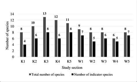 Participation Of Macrophyte Species In Research Sections Of Pszczynka Download Scientific