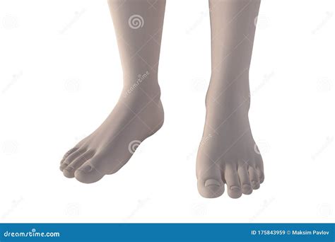 3d Human Model Pictures Of Human Reference For 3d Modeling Stock Illustration Illustration Of