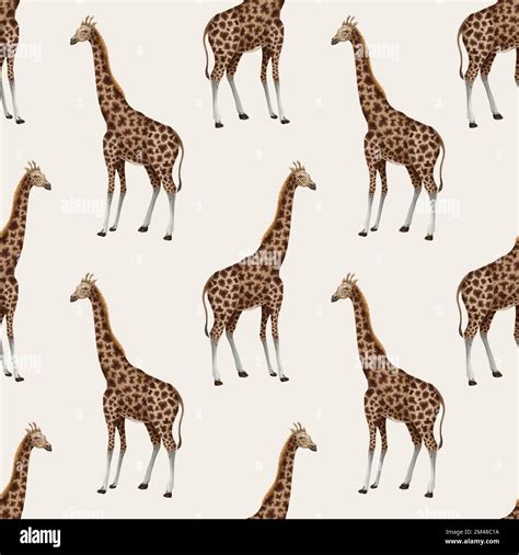 Seamless Pattern With Giraffe Vector Stock Vector Image And Art Alamy