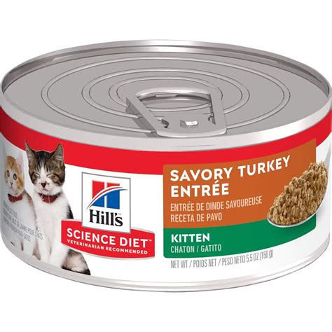 The 7 Best Wet Foods For Your Kitten