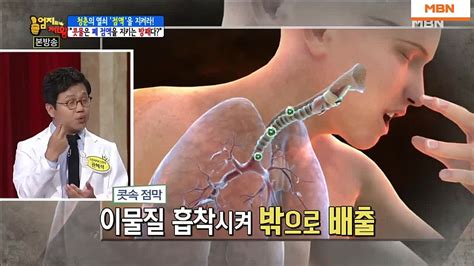 우리 몸에서 가장 끈적한 콧물 콧물은 최전방 전투병이다 네이버 Tv