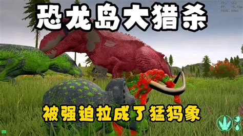 猫猫儿【合集55】 恐龙岛大猎杀：认什么大哥都是大忽悠，暴龙被坑成了猛犸象！！ 猫猫儿 恐龙岛 Youtube