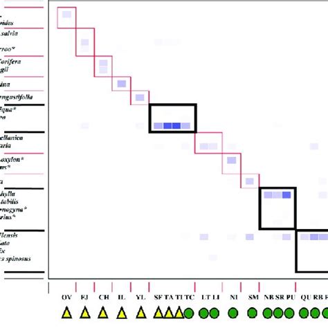 Modularity Matrix Of Host Infection By Tristerix Corymbosus Three Main Download Scientific