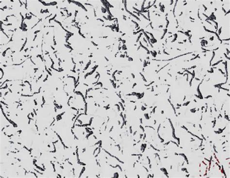 What Are Properties Of Gray Cast Iron Definition Material Properties