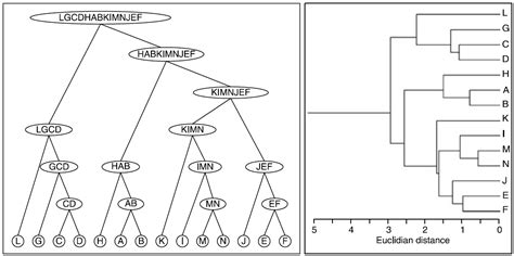K Means Vs Hierarchical Clustering What Is Better Buggy Programmer