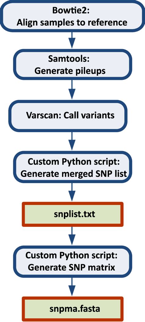 Steps In The SNP Pipeline Rounded Blue Outlined Boxes Are Analysis Download Scientific Diagram