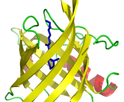 Skeptic Wonder Rule 34 Proteins