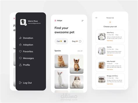 i will develop android and ios app using flutter مستقل