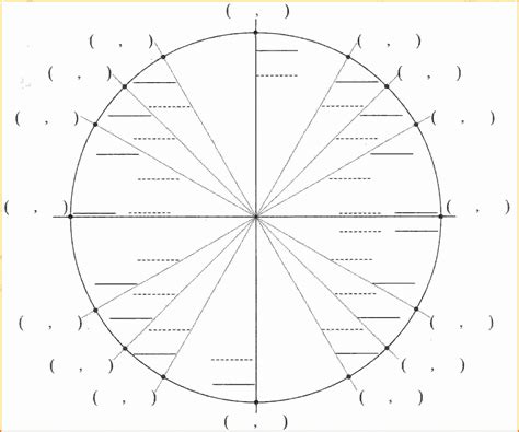 Worksheet On Unit Circle Dev Onallcylinders Com