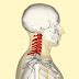 How To Read A Cervical Spine X Ray Normal Vs Abnormal Health Care Tips