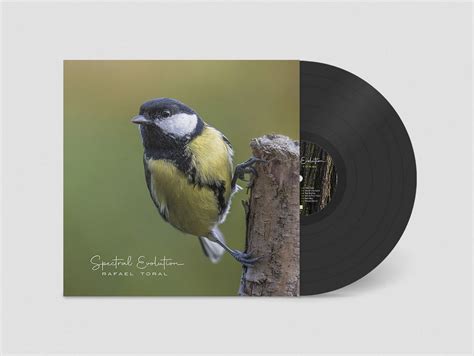 Rafael Toral Spectral Evolution Vinyl Lp Freebird Records