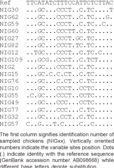 Figure 1 From Mitochondrial Dna D Loop Analysis Of South Western