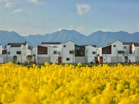 以“千万工程”牵引缩小“三大差距”，代表委员热议：强城兴村融合，共富“三篇文章”怎么写