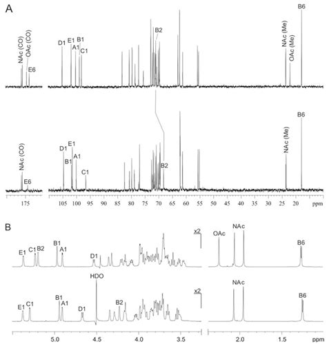 Pectobacterium Versatile Bacteriophage Possum A Complex Polysaccharide Deacetylating Tail Fiber