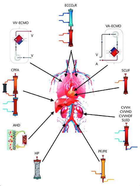 Schematic Representation Of Current Ecos Techniques Ecco2r