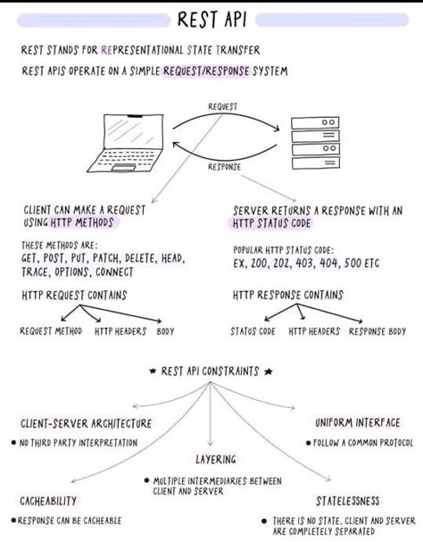 快速了解 和 Rest API 知乎