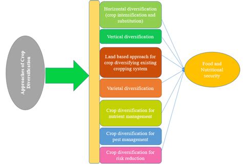Need For Crop Diversification And Intensification Download Scientific Diagram
